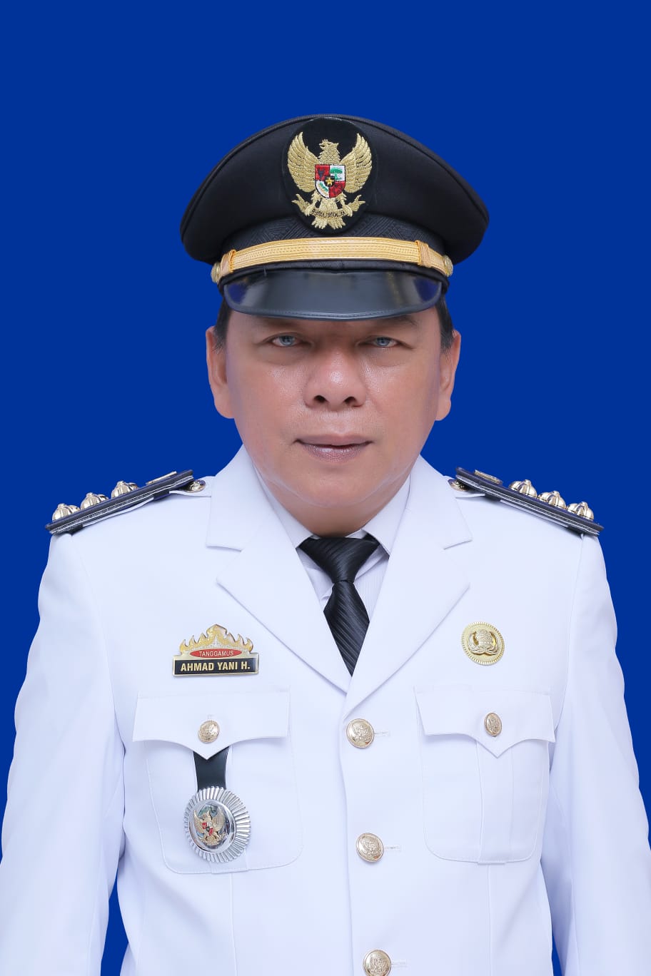 SIPDeskel Kecamatan Pugung